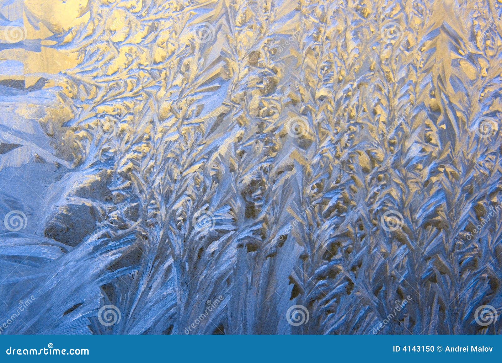 Natural frosty patterns stock photo. Image of texture - 4143150