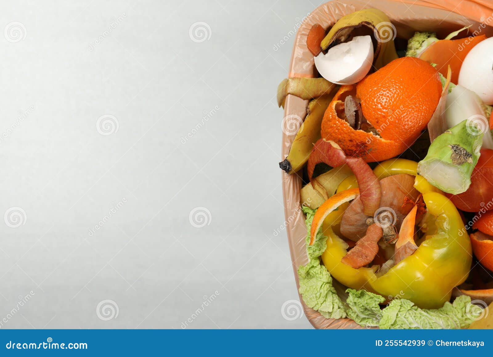 Natural Garbage in Trash Bin on Light Background, Top View with Space ...