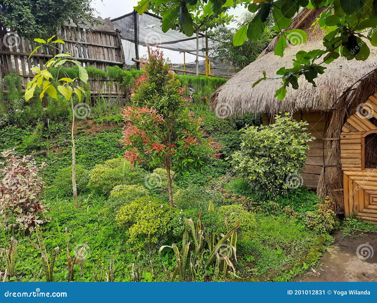 Natural garden examples stock image. Image of forest - 201012831