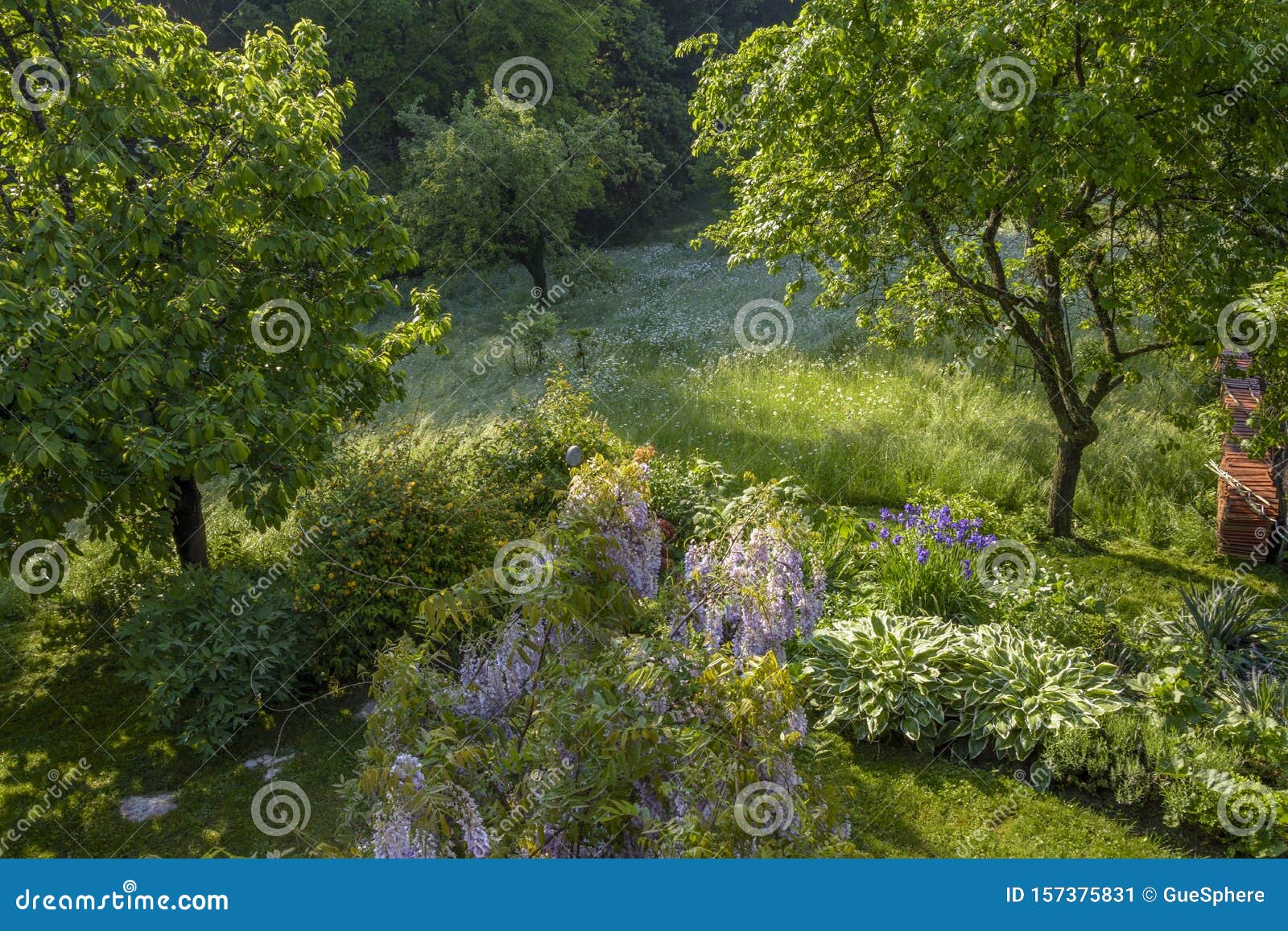 Natural Garden Scenery in Spring Stock Image - Image of wachstum ...