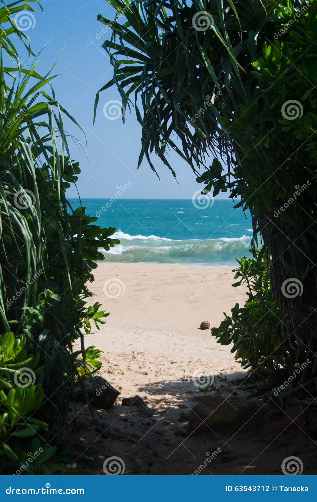 Natural gate on beach stock photo. Image of marine, resort - 63543712