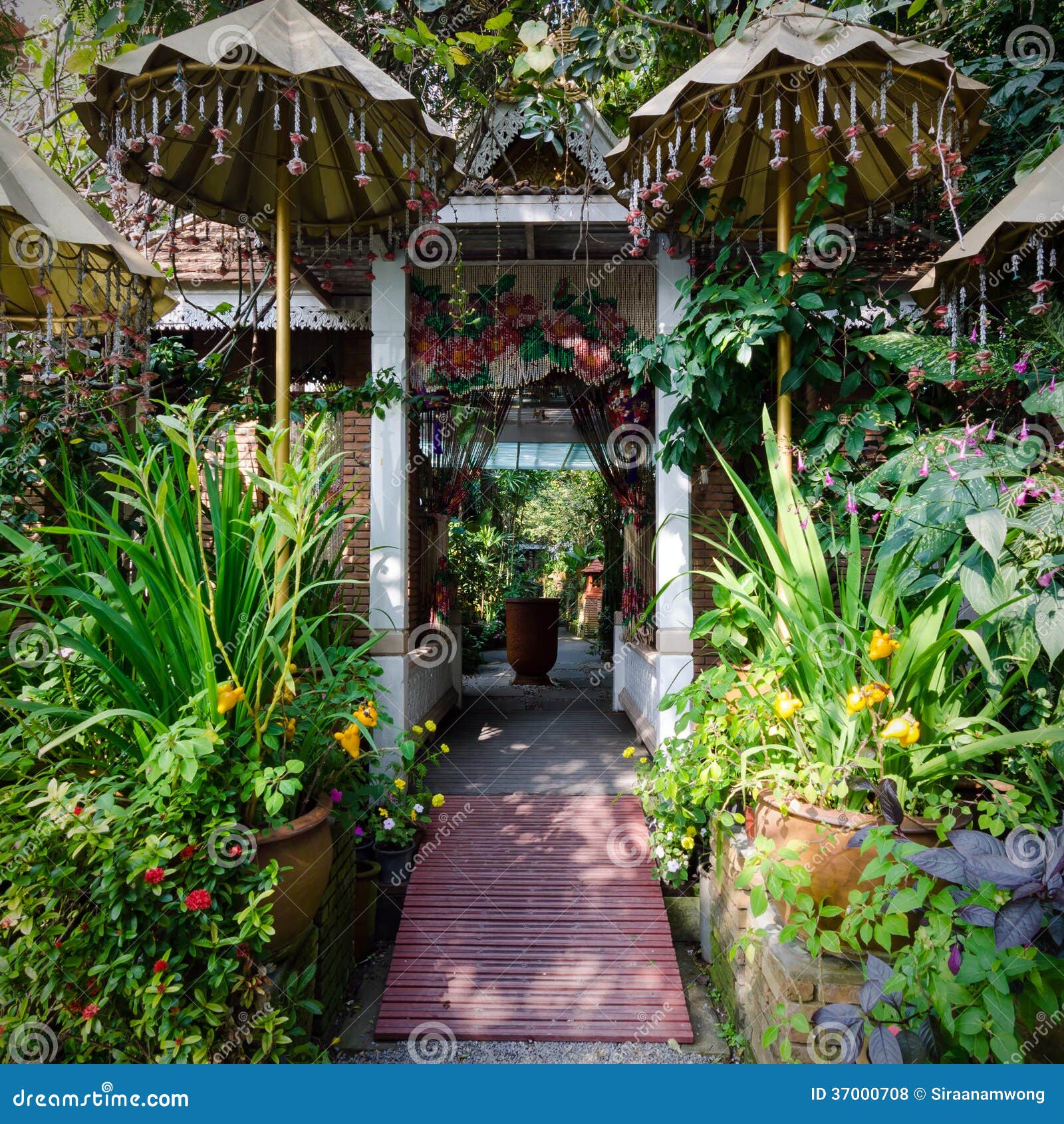 Natural gate stock photo. Image of pathway, plant, garden - 37000708