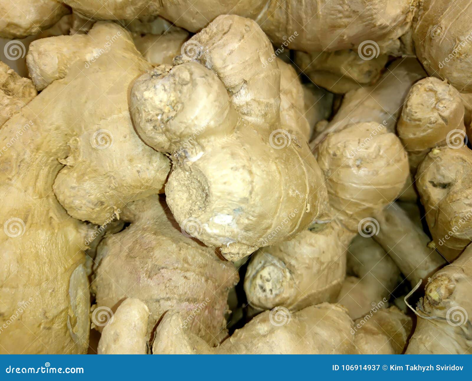Natural ginger close-up stock image. Image of closeup - 106914937