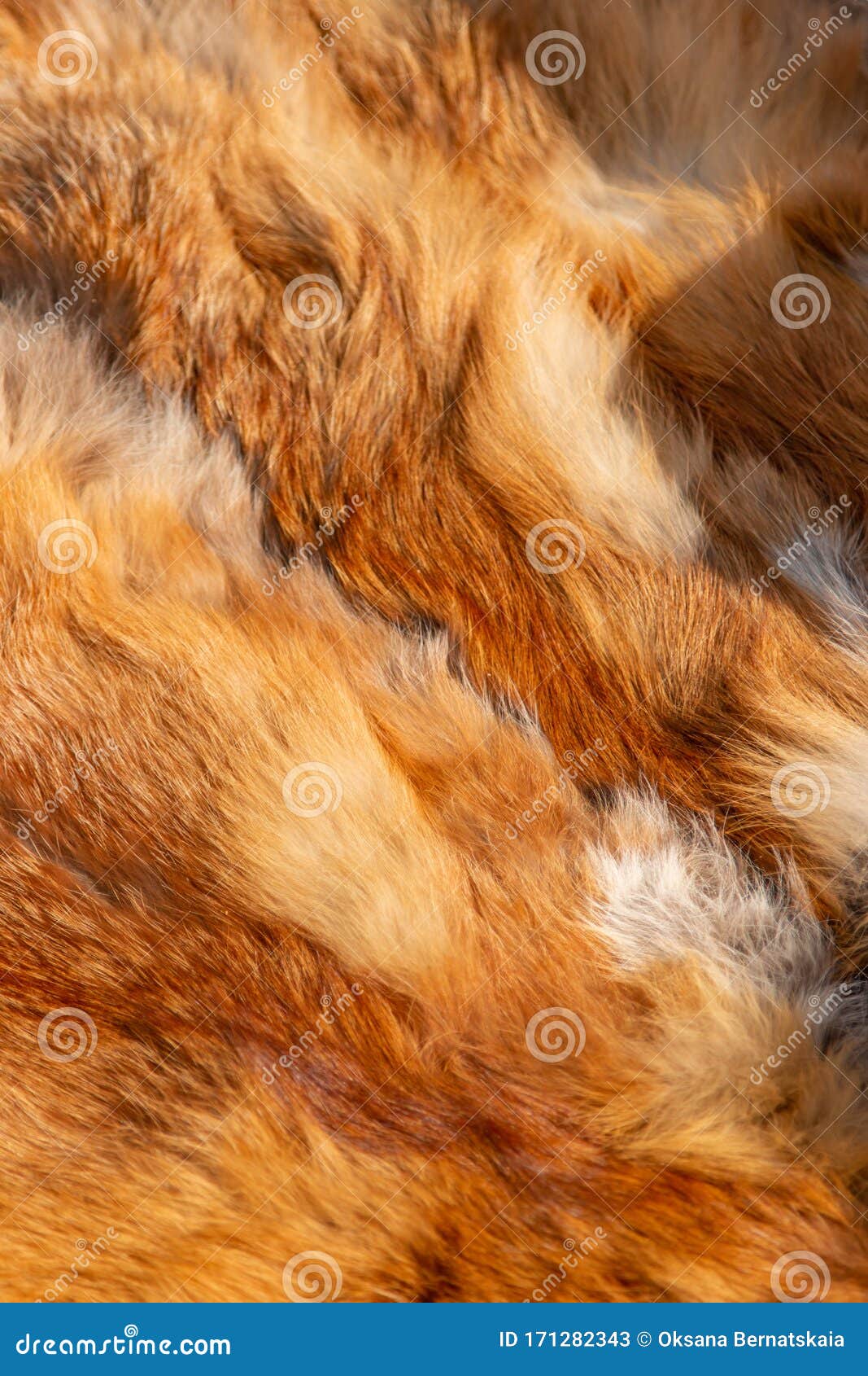Natural Ginger Material Animal Fur Stock Image - Image of white ...
