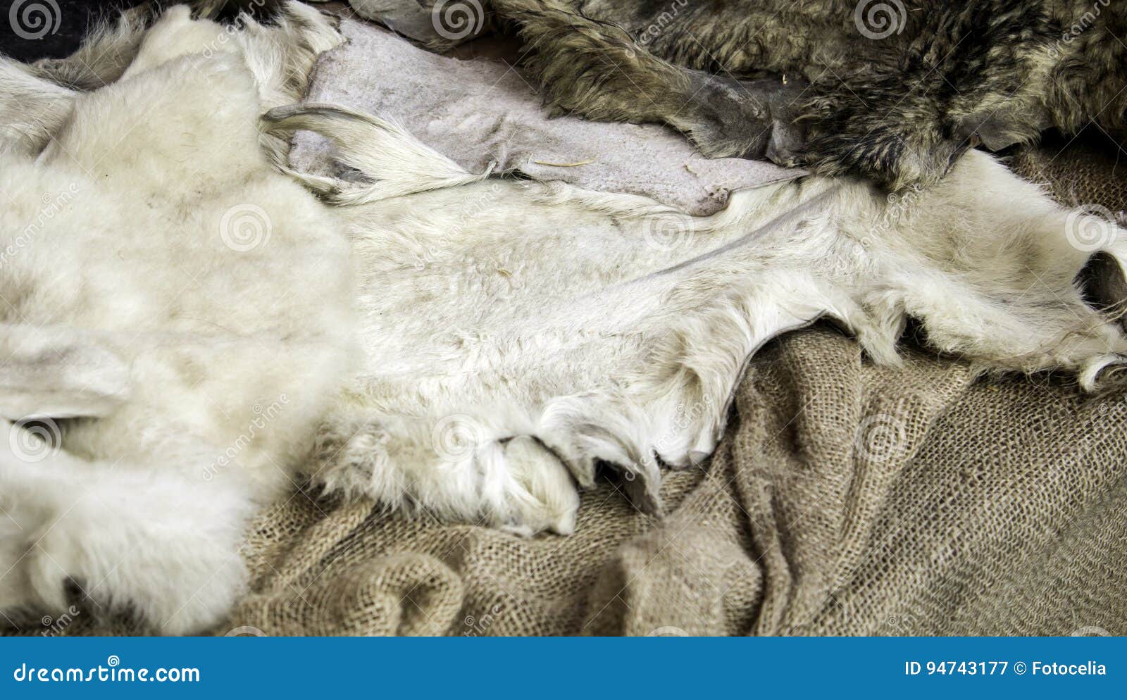 Natural goat skin stock image. Image of carpet, body - 94743177