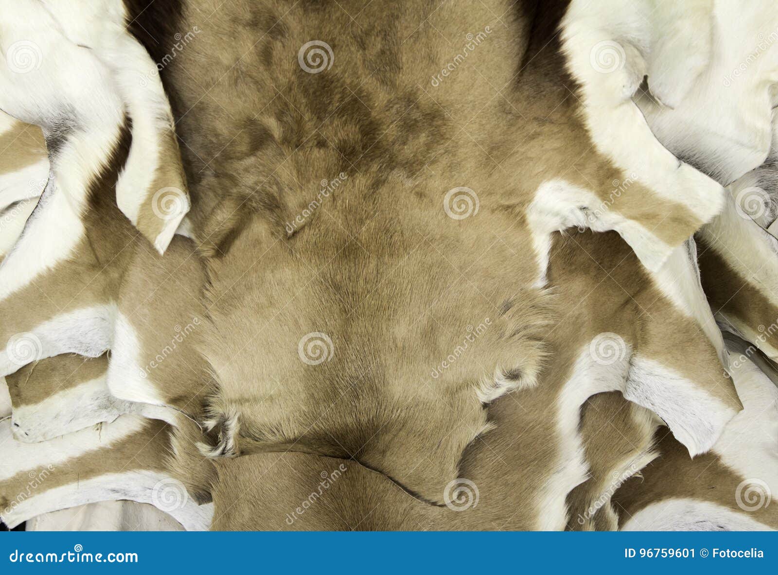 Natural Goat Skin Royalty-Free Stock Photo | CartoonDealer.com #96760797