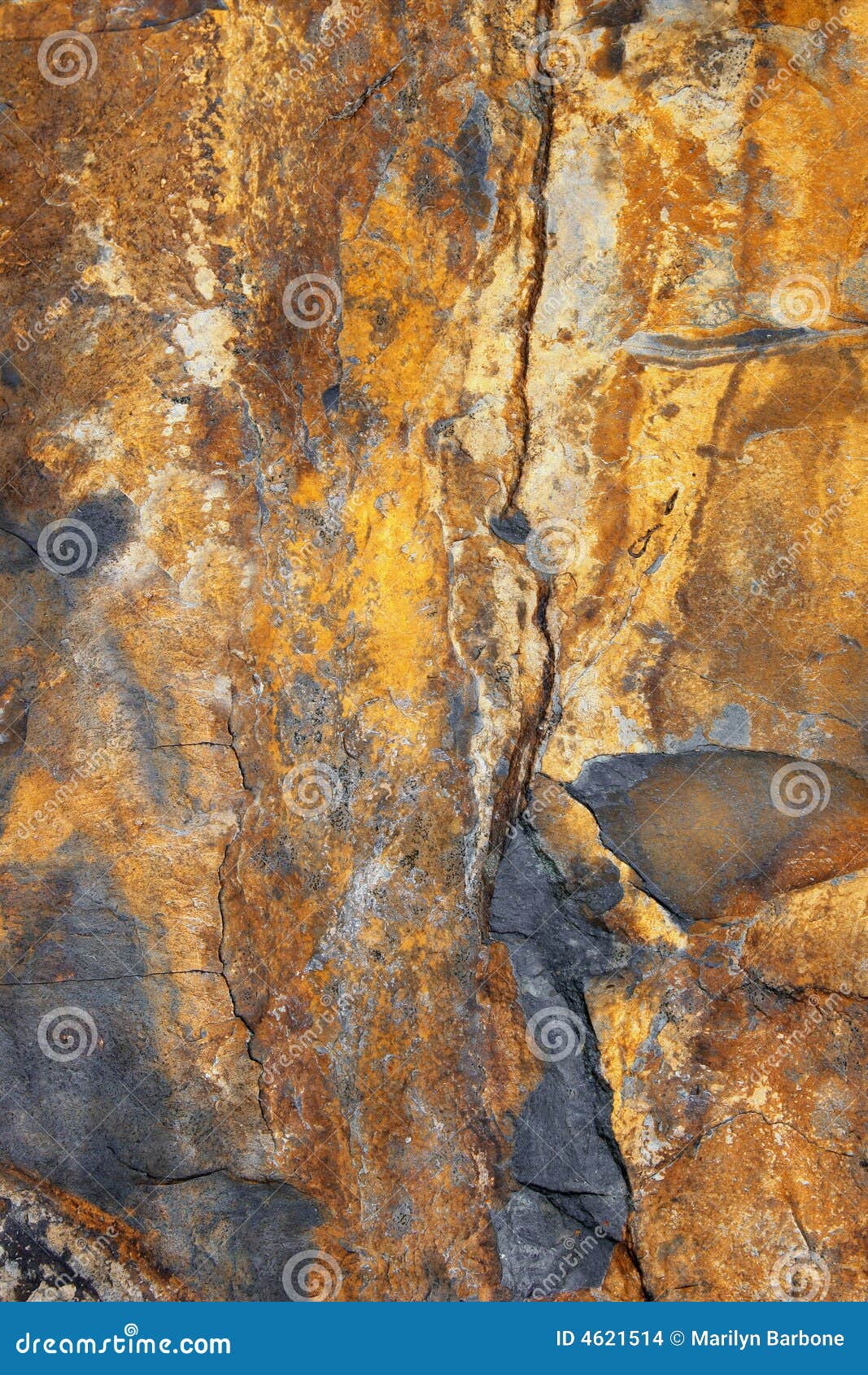 Natural Gold and Grey Slate Stock Photo - Image of grunge, rough: 4621514