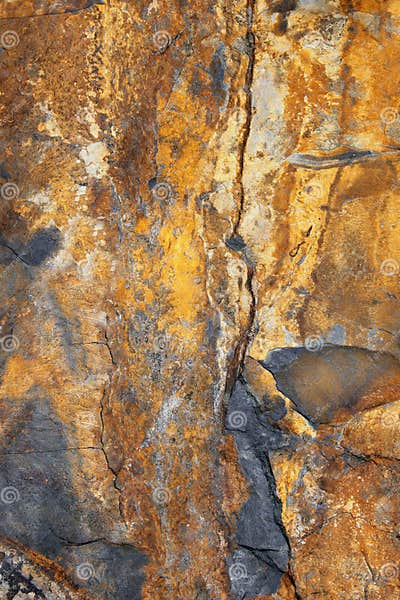 Natural Gold and Grey Slate Stock Photo - Image of grunge, rough: 4621514