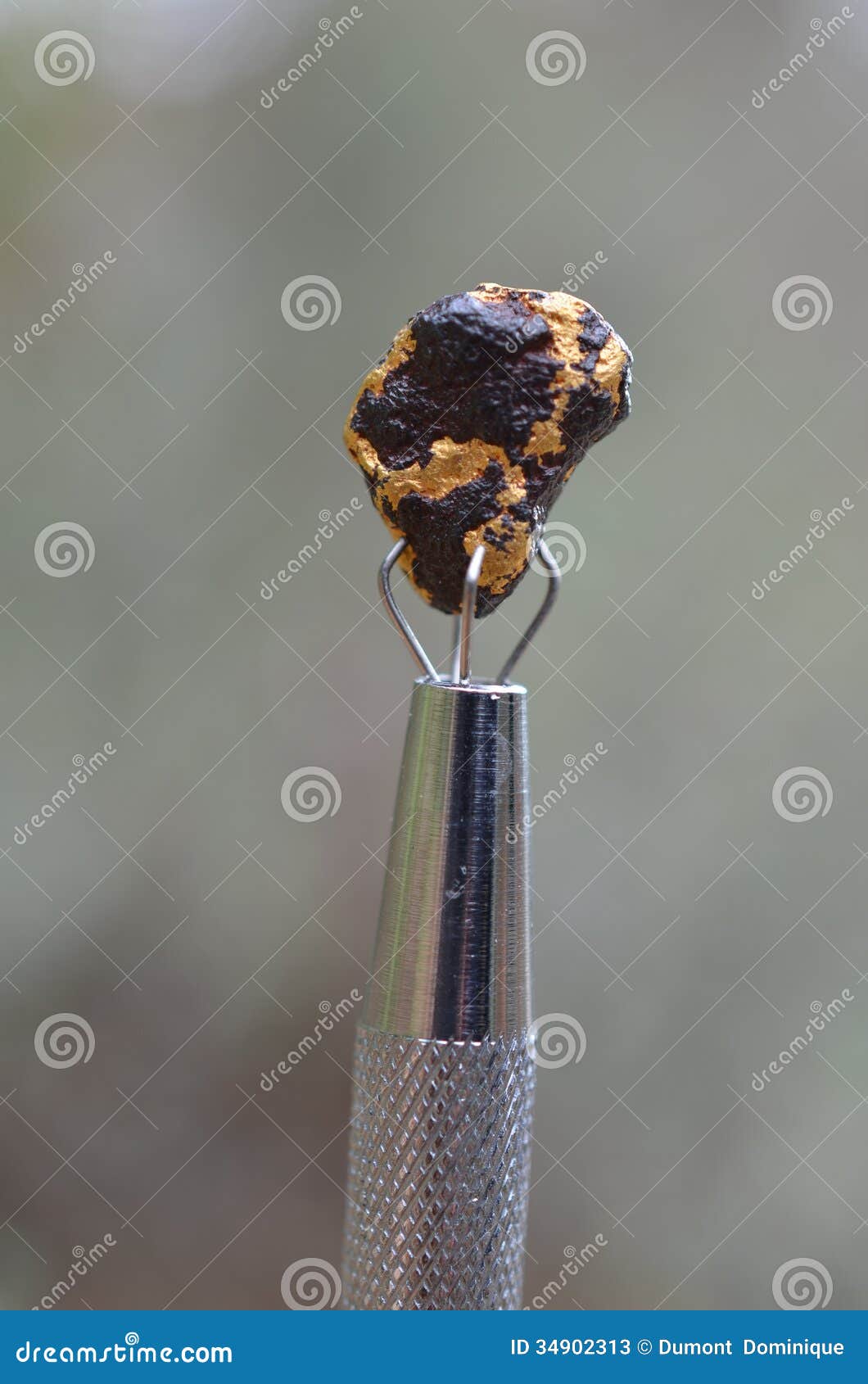 Natural gold nugget stock image. Image of macro, metal - 34902313