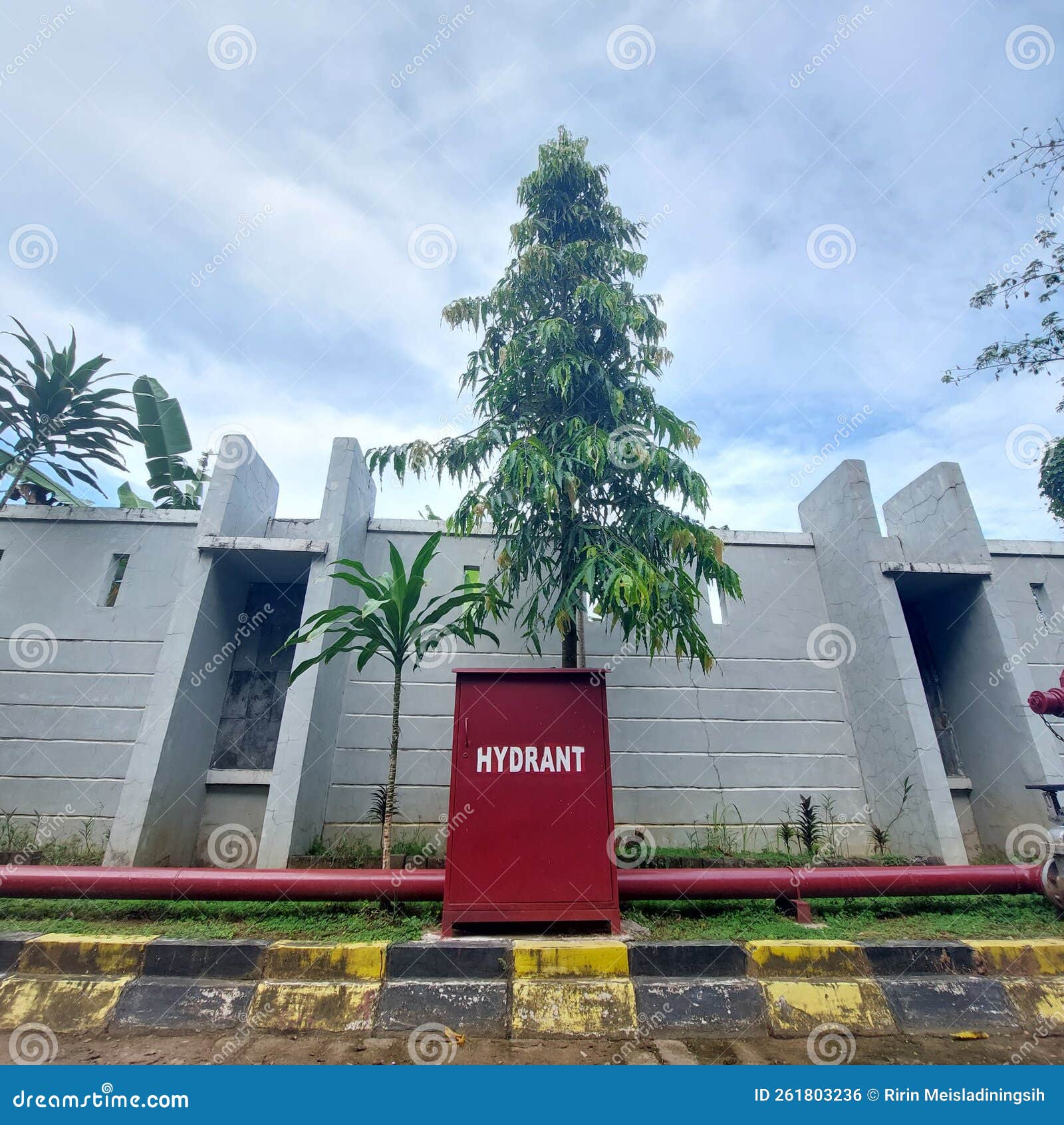 Natural good view stock photo. Image of company, plant - 261803236