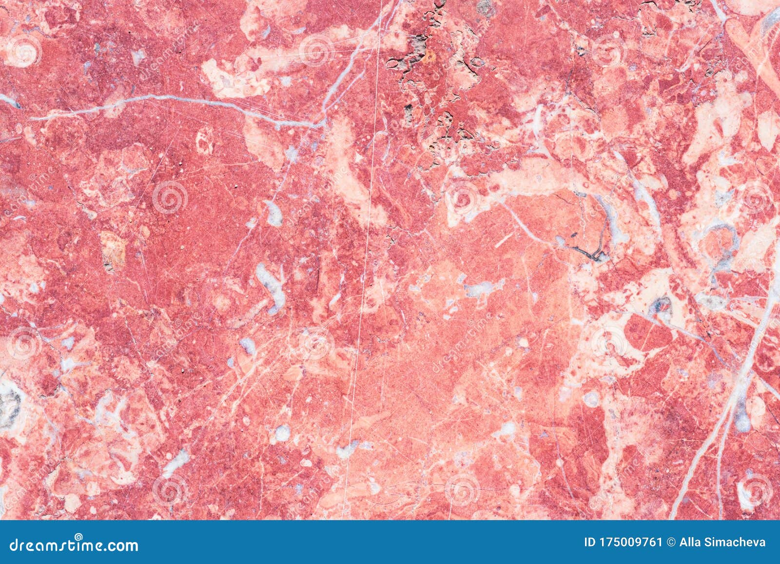 Natural Granite Metamorphic Rock Texture Background Stock Image - Image ...