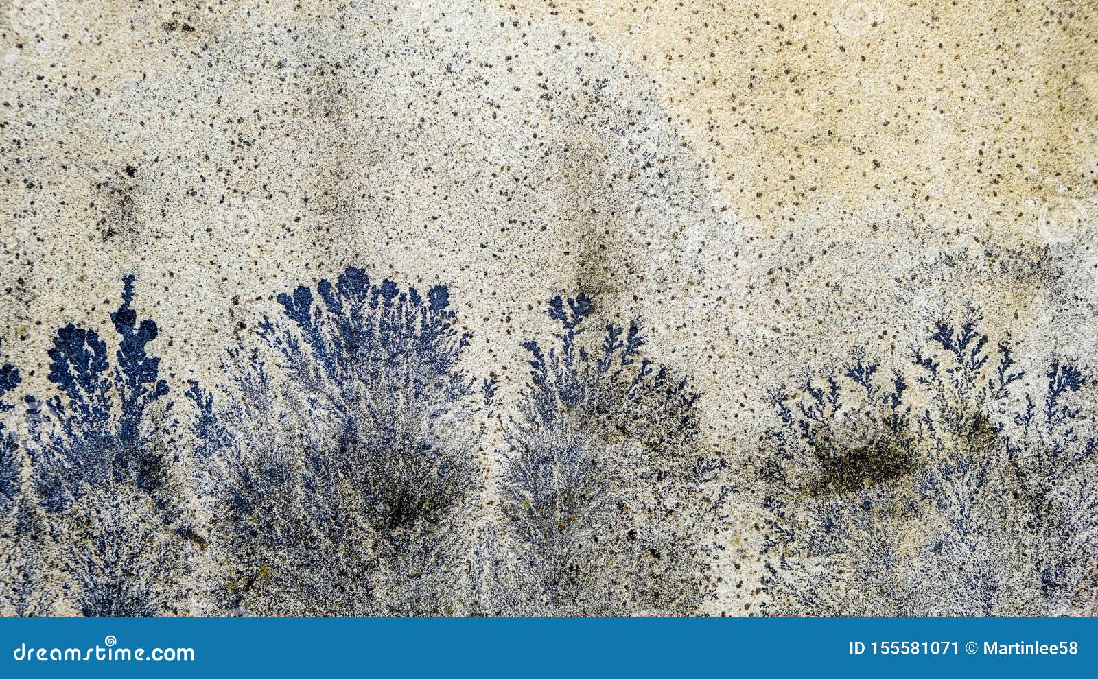 Natural Graphic Patterns in Stones or Rock Slabs Stock Image - Image of ...