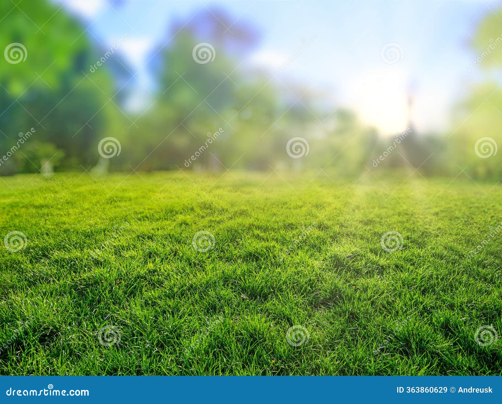 Natural Grass Texture Pattern Background. Top View Grassy Lawn For ...