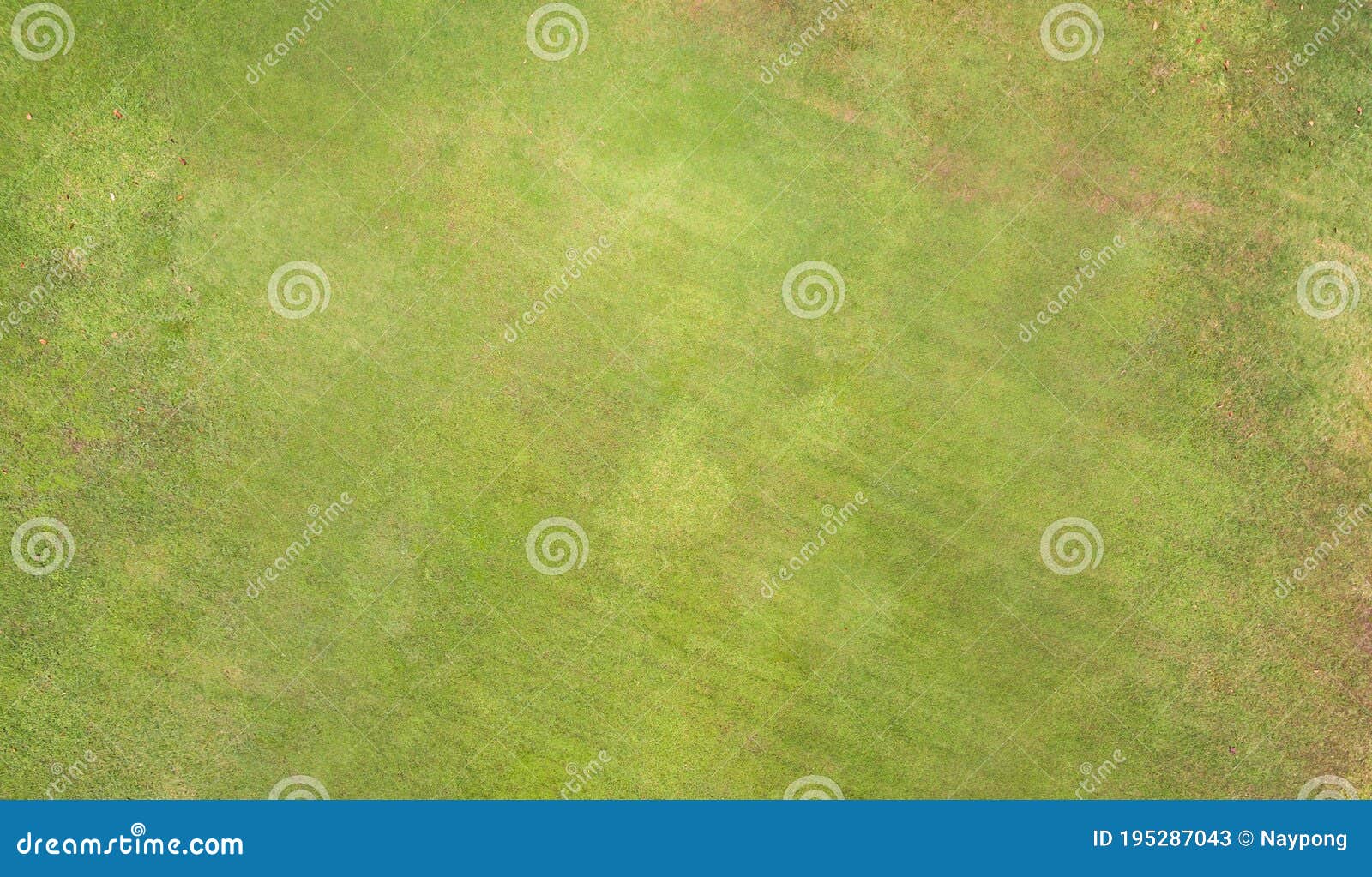 Natural grass texture stock image. Image of autumn, environment - 195287043
