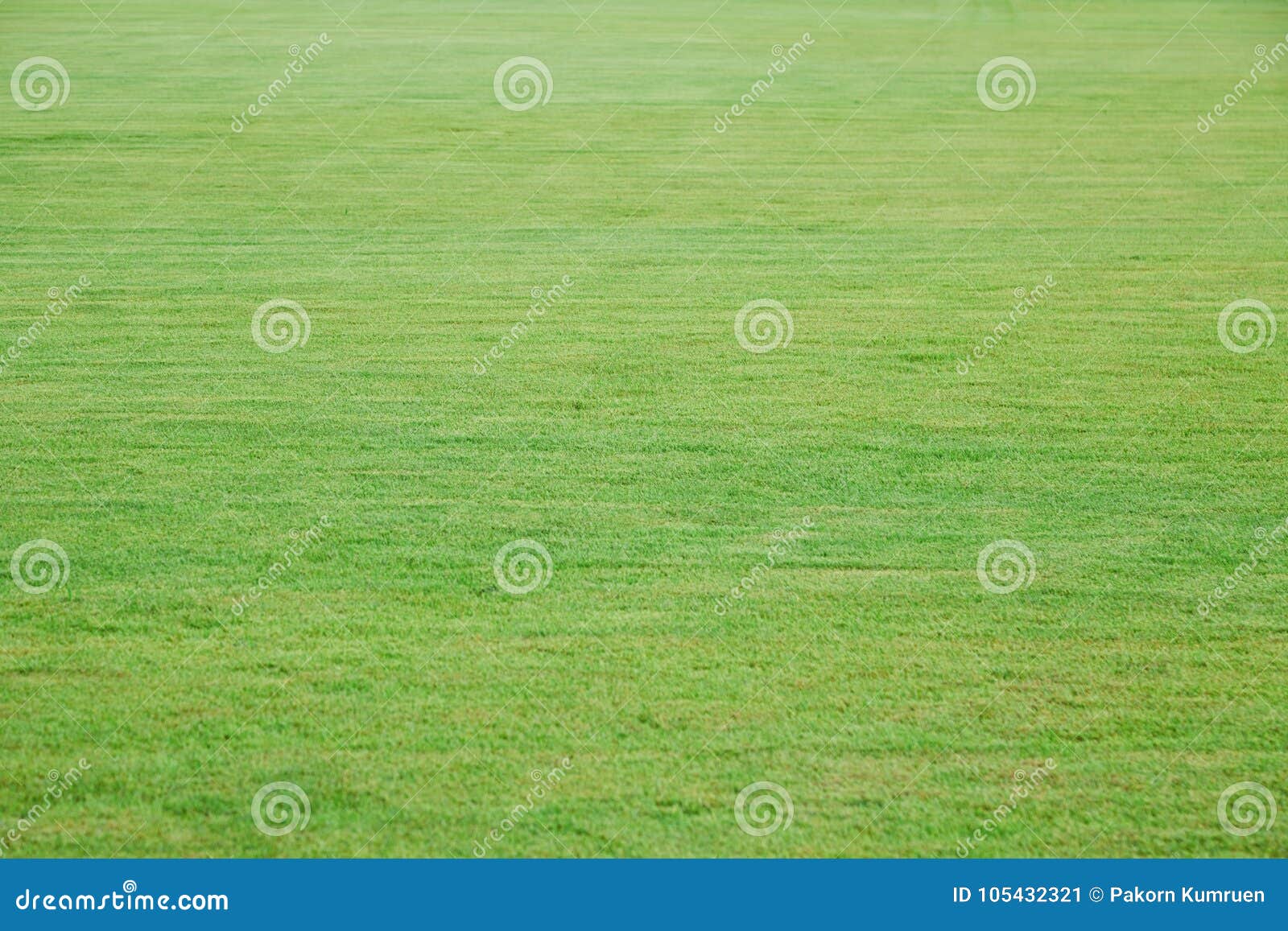 Natural Grass Texture Background Stock Image - Image of activity ...