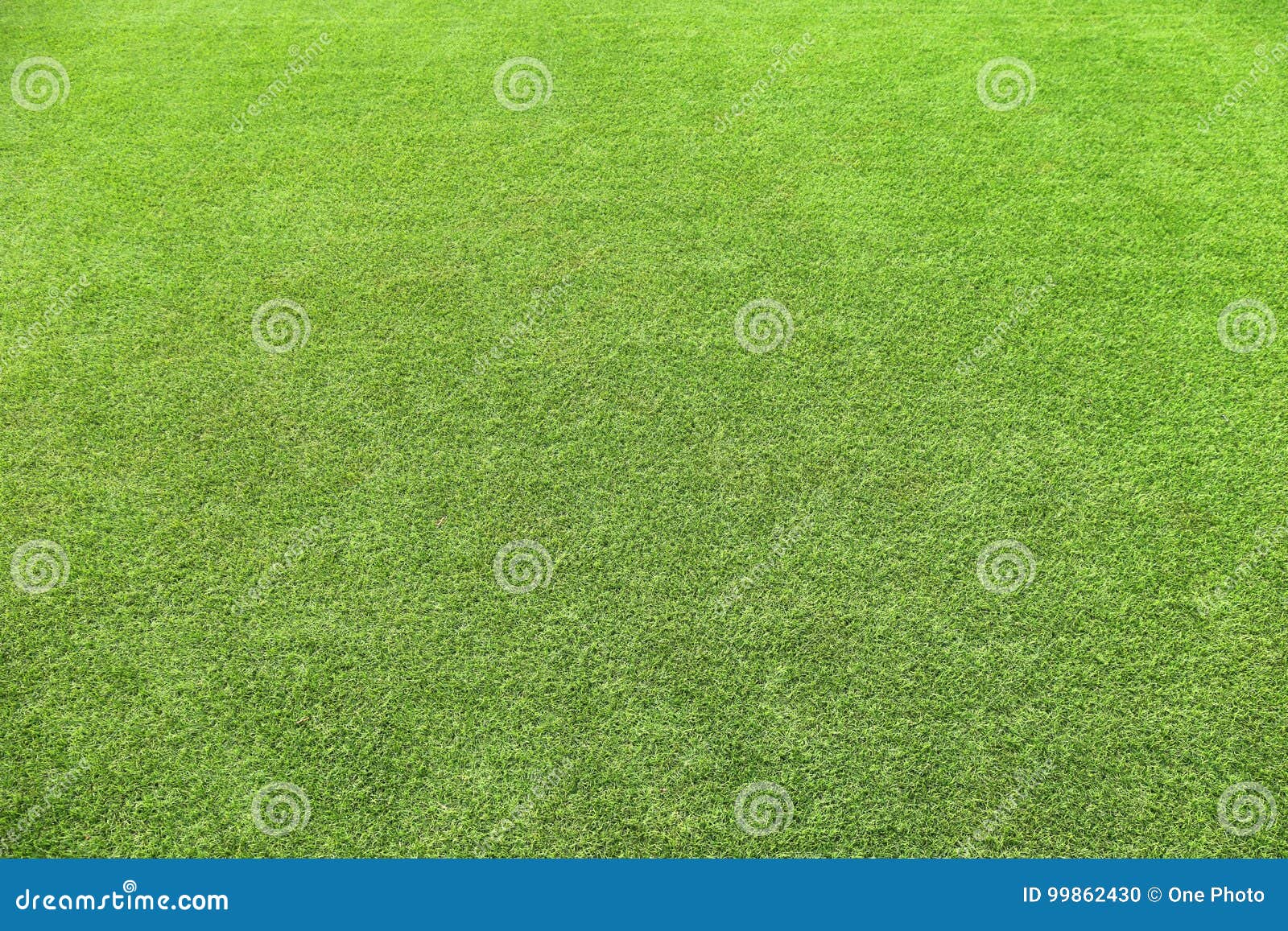 365,890 Natural Grass Texture Stock Photos - Free & Royalty-Free Stock ...