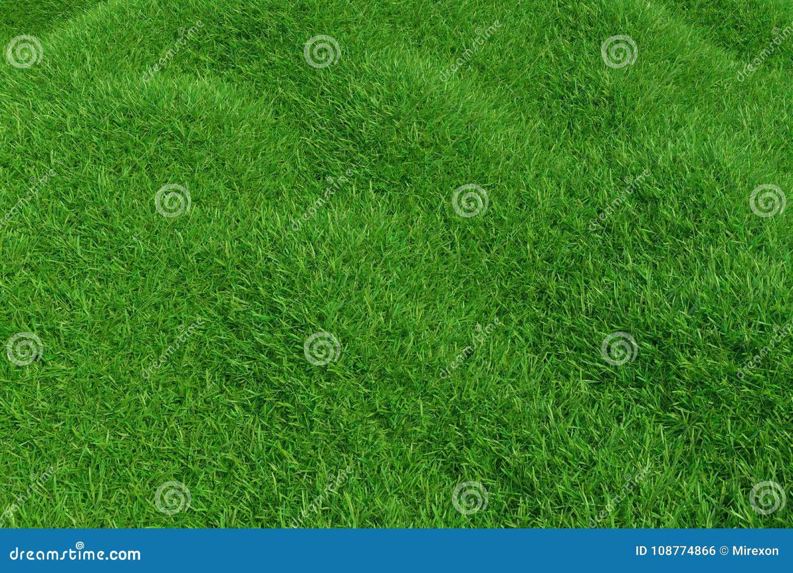 Natural Grass Texture Pattern Background. Top View Grassy Lawn For ...