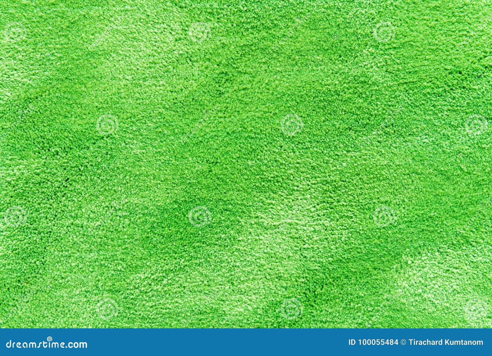 Natural Grass Texture Patterned Background in Golf Course Turf from Top ...