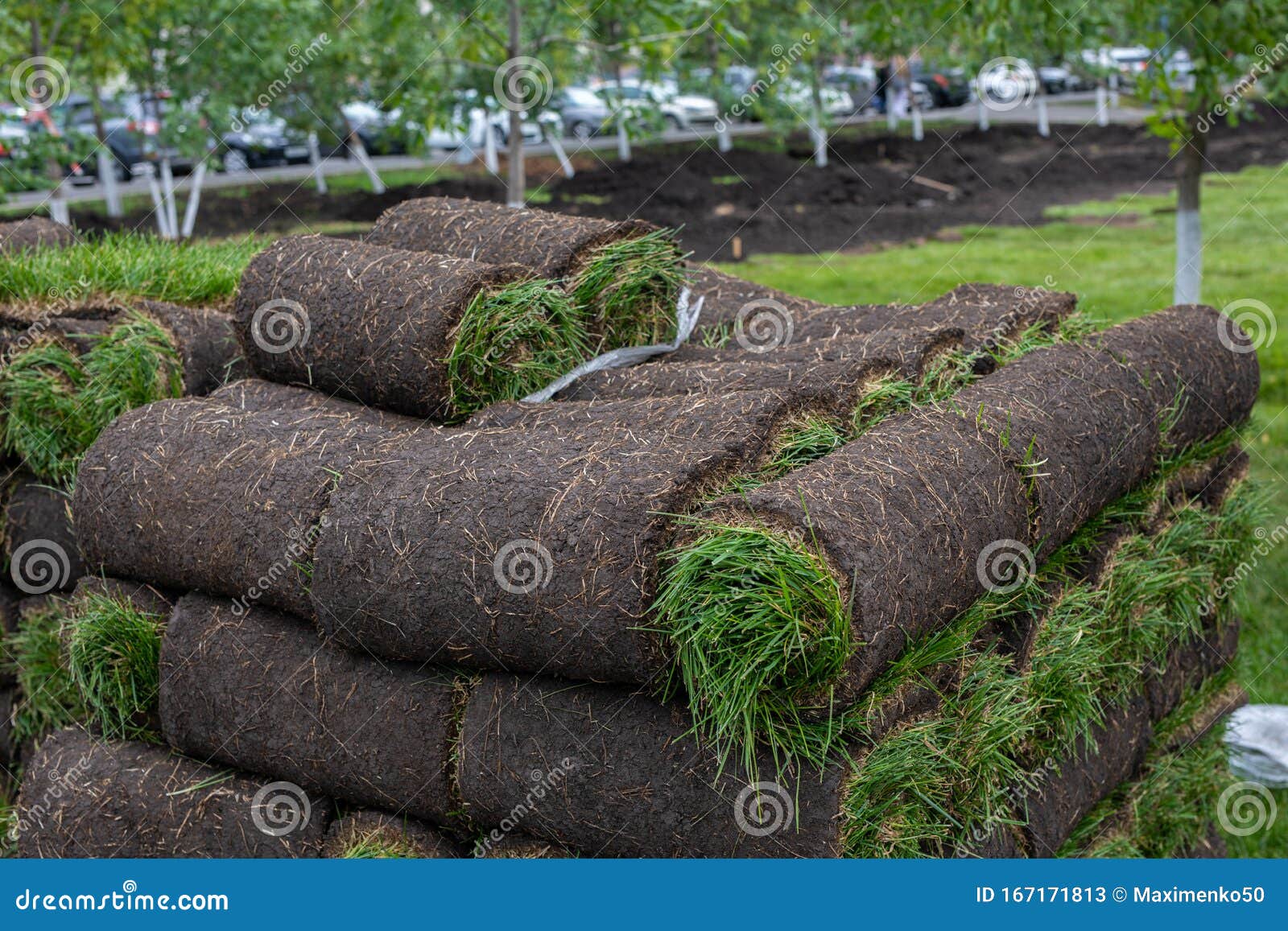 Natural Grass Turf. Preparing To Install Natural Lawns Stock Image ...