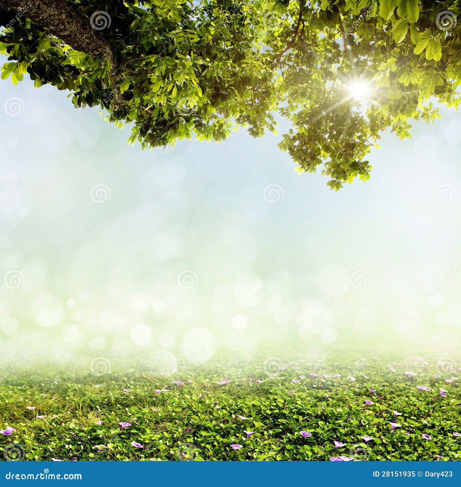 Natural green background stock image. Image of beautiful - 28151935