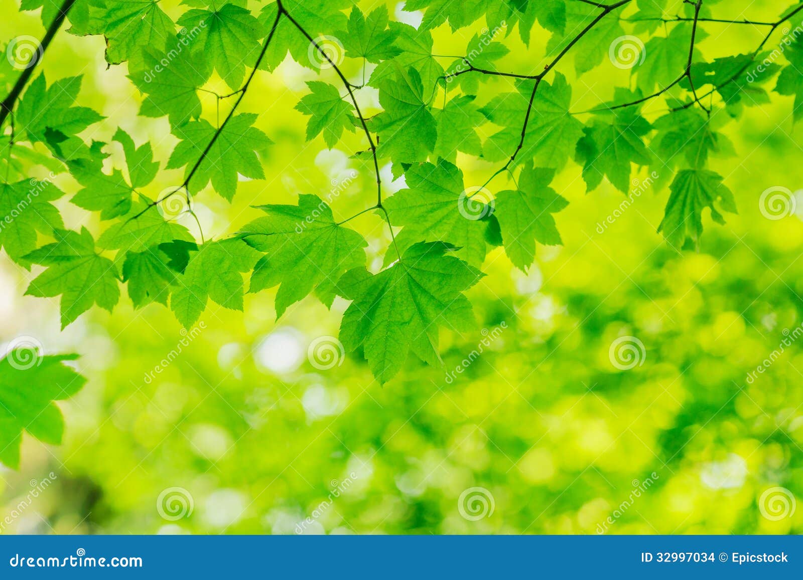 Natural Green Background stock photo. Image of effect - 32997034