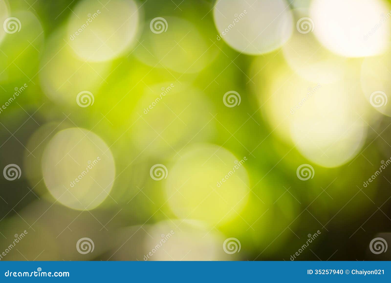 Natural Green Blurred Background