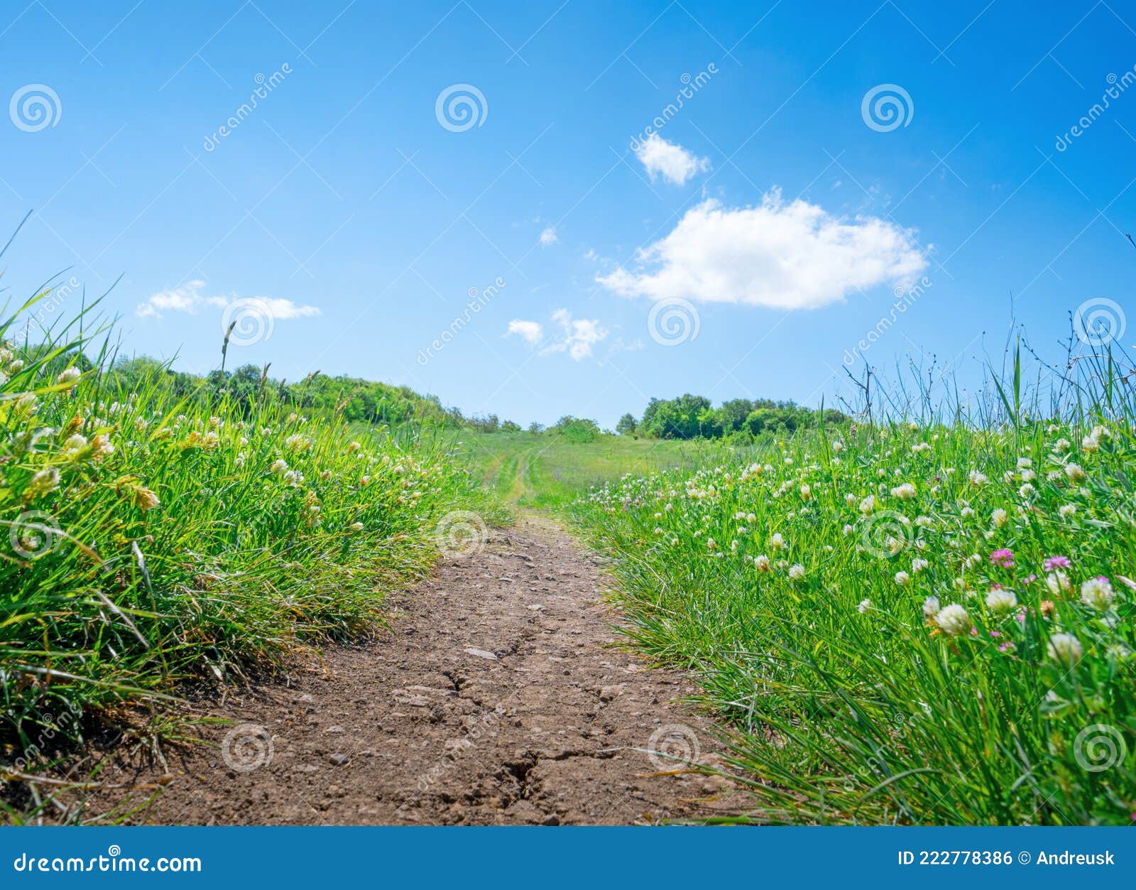Natural Green Grass Field with Dirt Road Pathway Stock Photo - Image of ...