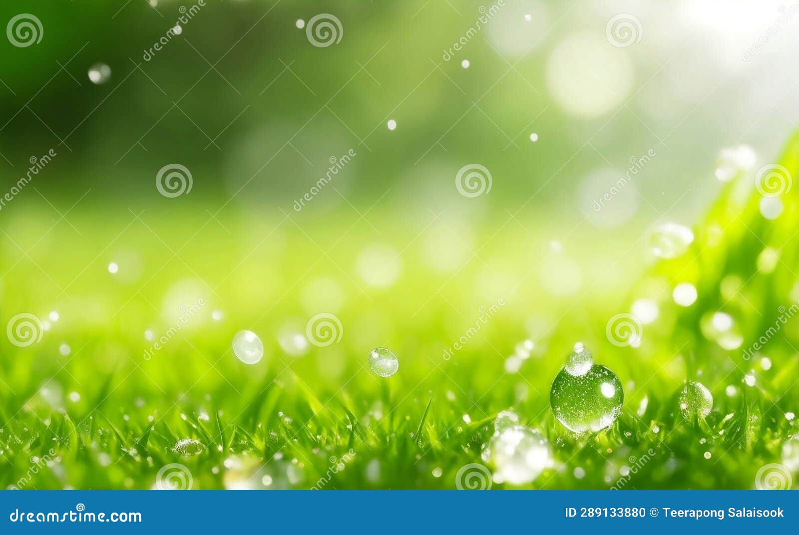 A Natural Green Grass with Water Drops Background Stock Illustration ...