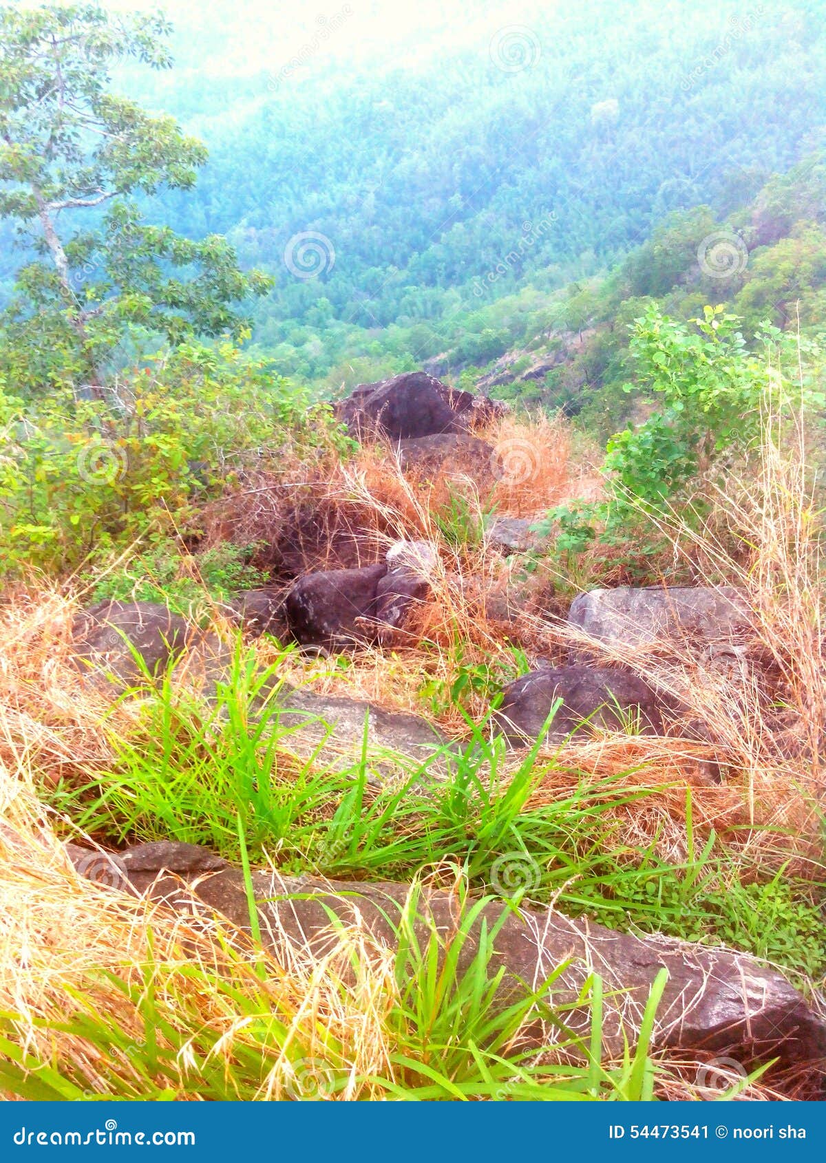 Natural stock image. Image of hill, green, view, natural - 54473541