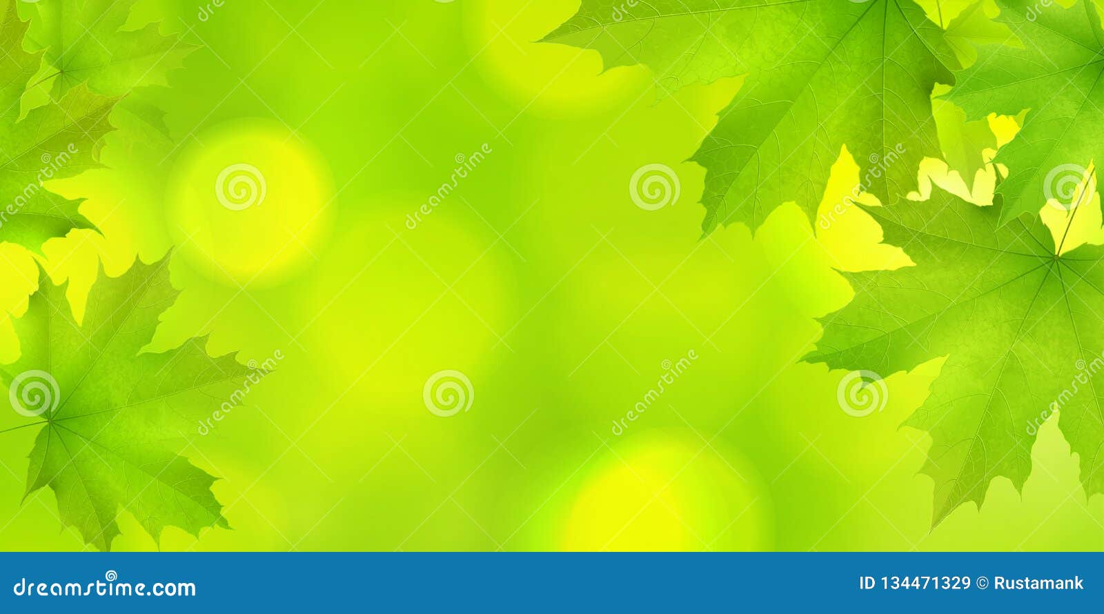Natural Green Horizontal Rectangular Background with Maple Leaves and ...