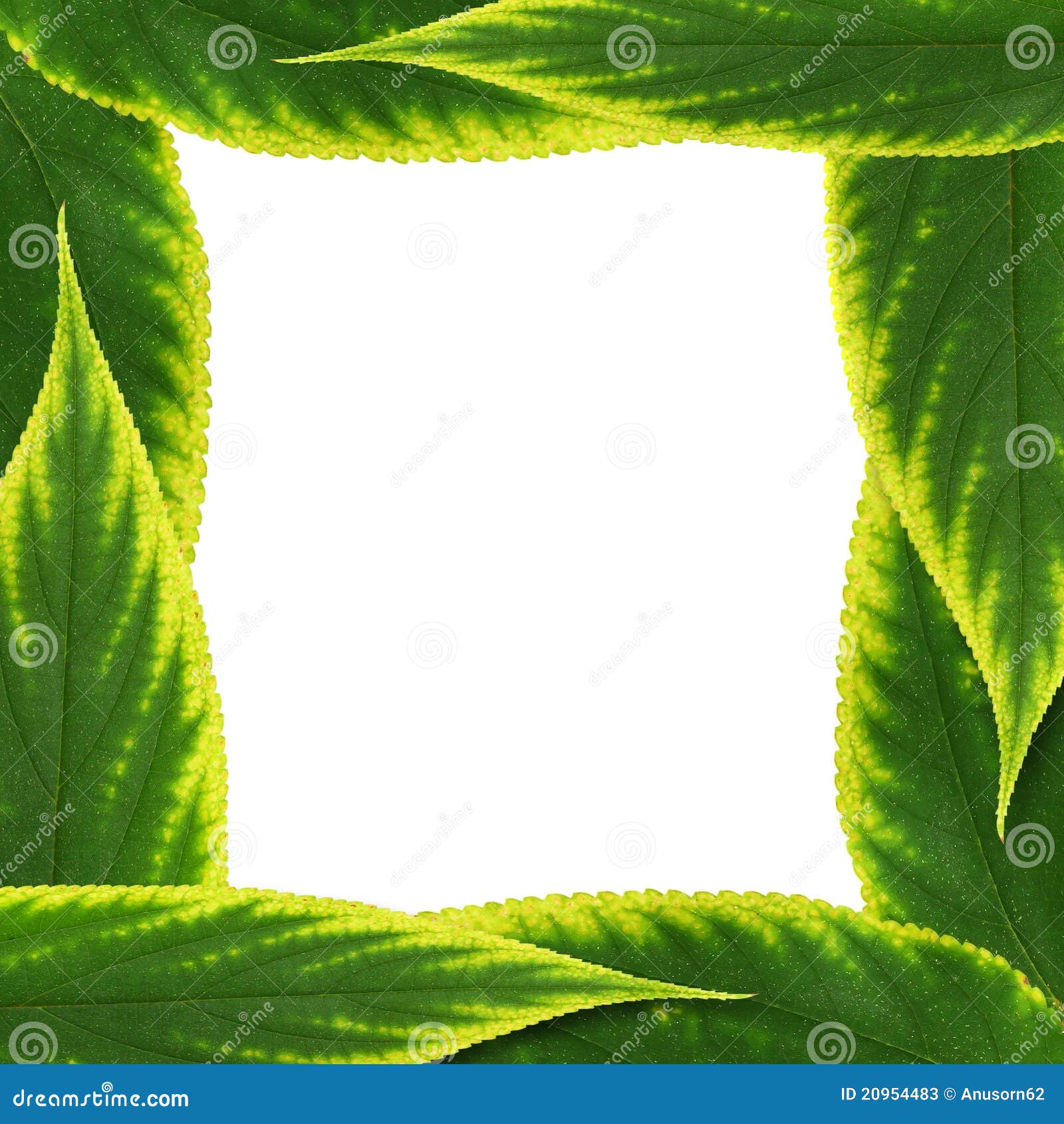 Natural green leaf frame stock illustration. Illustration of closeup ...