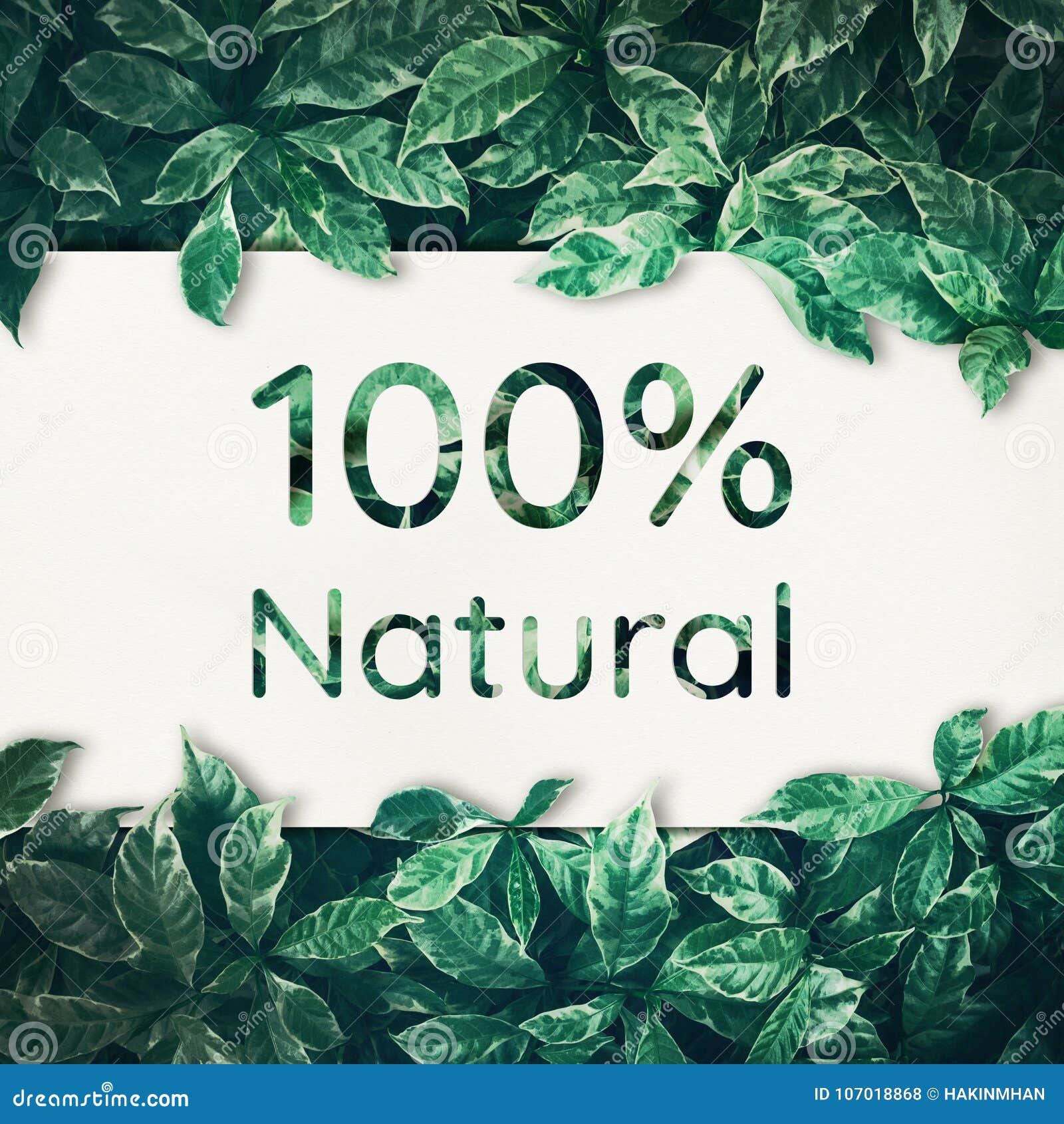 100 Natural with Green Leaf.friendly,eco Environment,concepts Stock ...