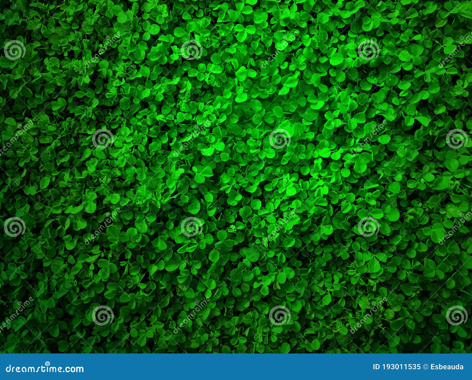 Natural Green Leaves Background Stock Image - Image of outdoor, leaf ...