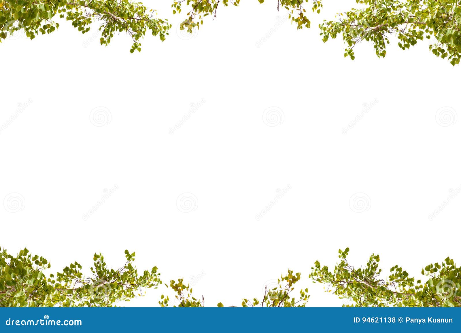 Natural Green Leaves Frame on White Background. Stock Photo - Image of ...