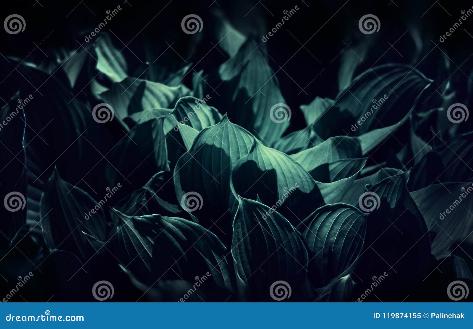 Natural Green Texture Background Stock Image - Image of environment ...
