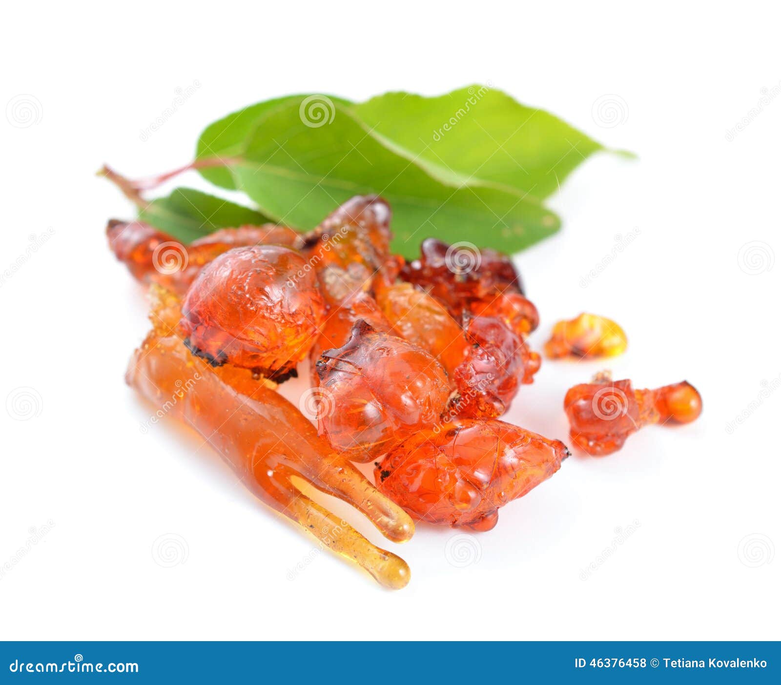 Natural Gum of Apricot Tree. Stock Photo - Image of group, organic ...