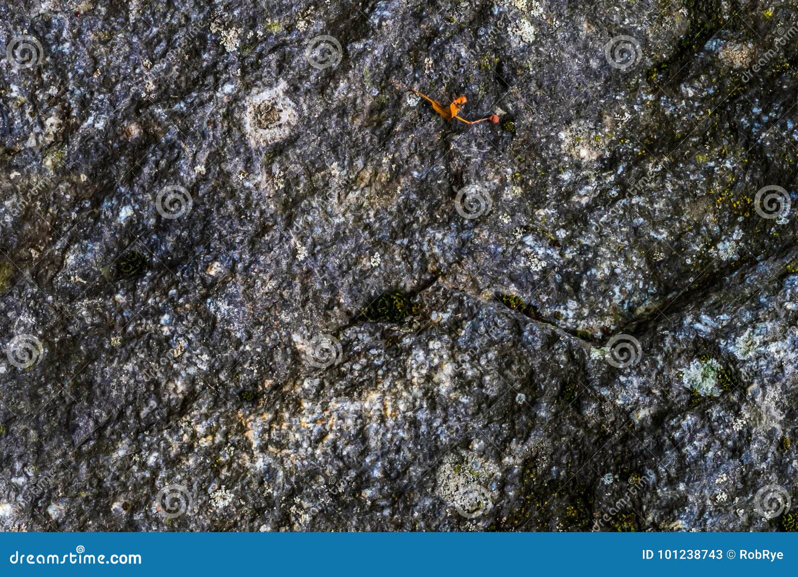 Natural Hard Rock or Stone Texture Surface As Background Stock Image ...