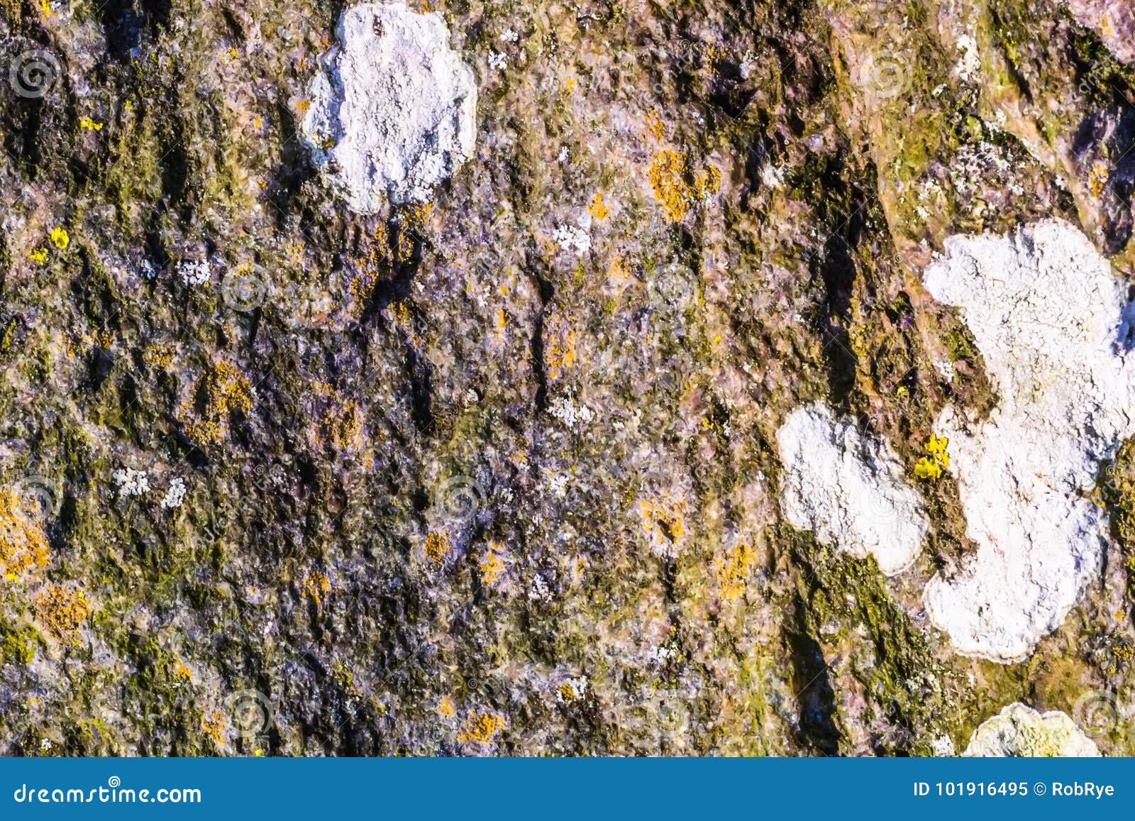 Natural Hard Rock or Stone Texture Surface As Background Stock Image ...
