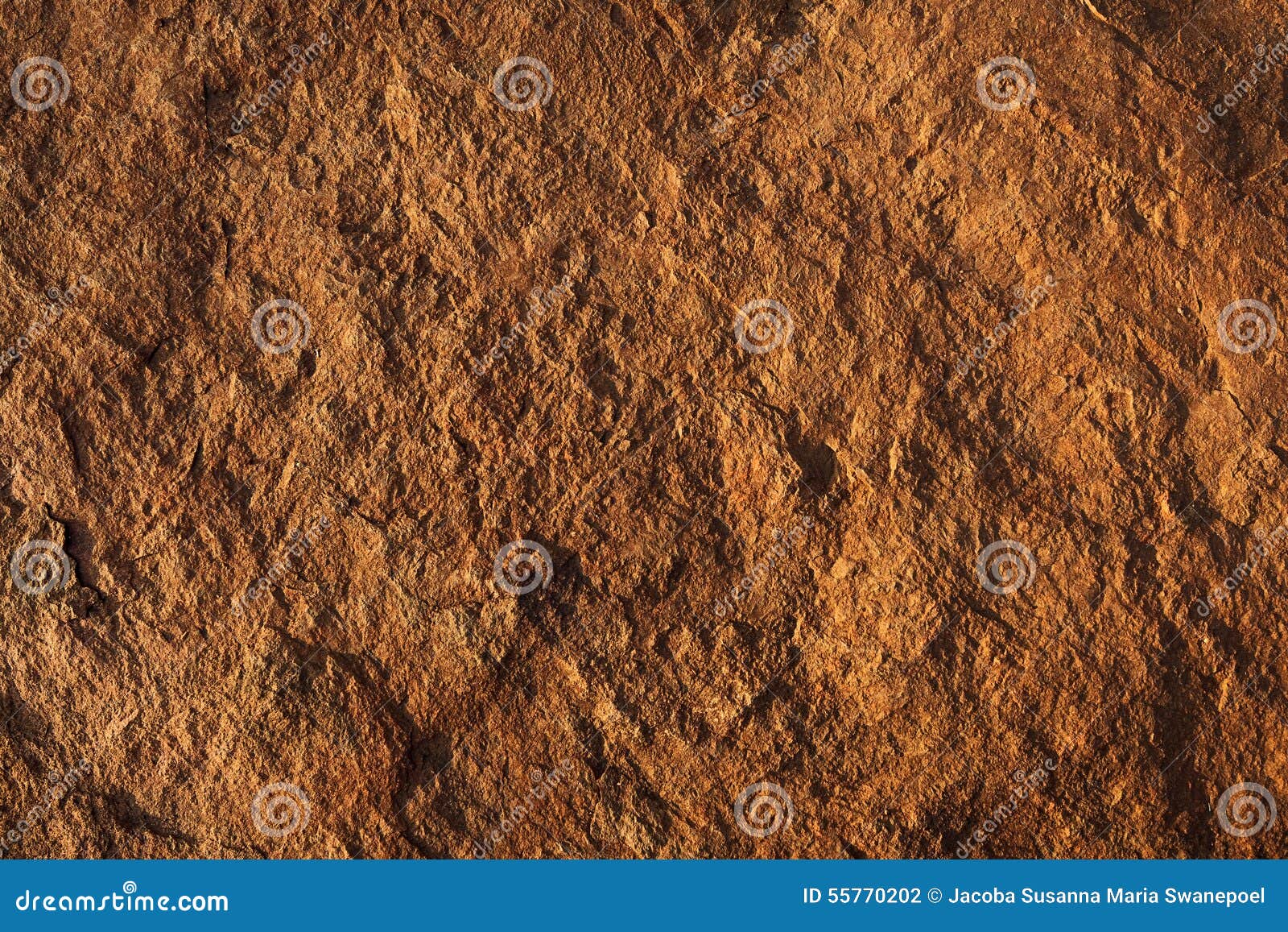 Natural Hard Soil Texture Background In Field Royalty-Free Stock Photo ...