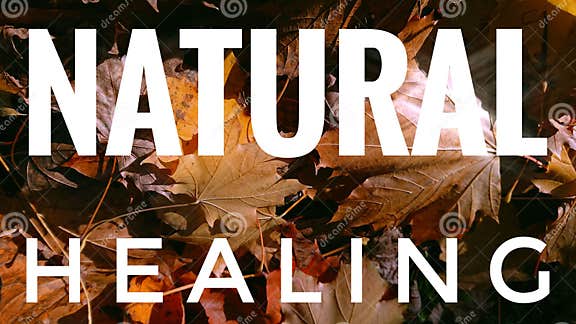 Natural Healing Header Background Illustration Stock Illustration ...