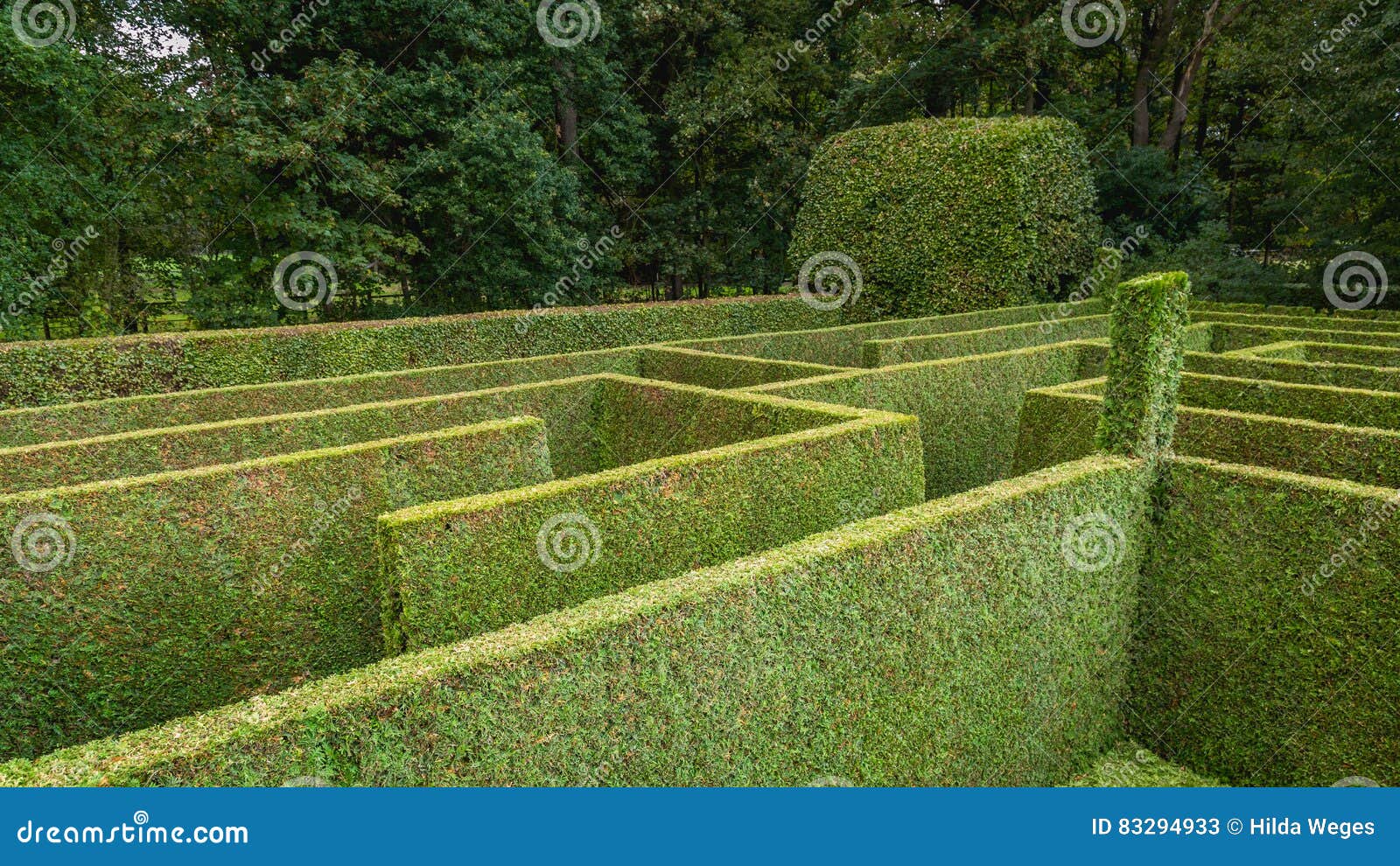 Natural Hedge Labyrinth Maze Stock Image - Image of labyrinth, castle ...