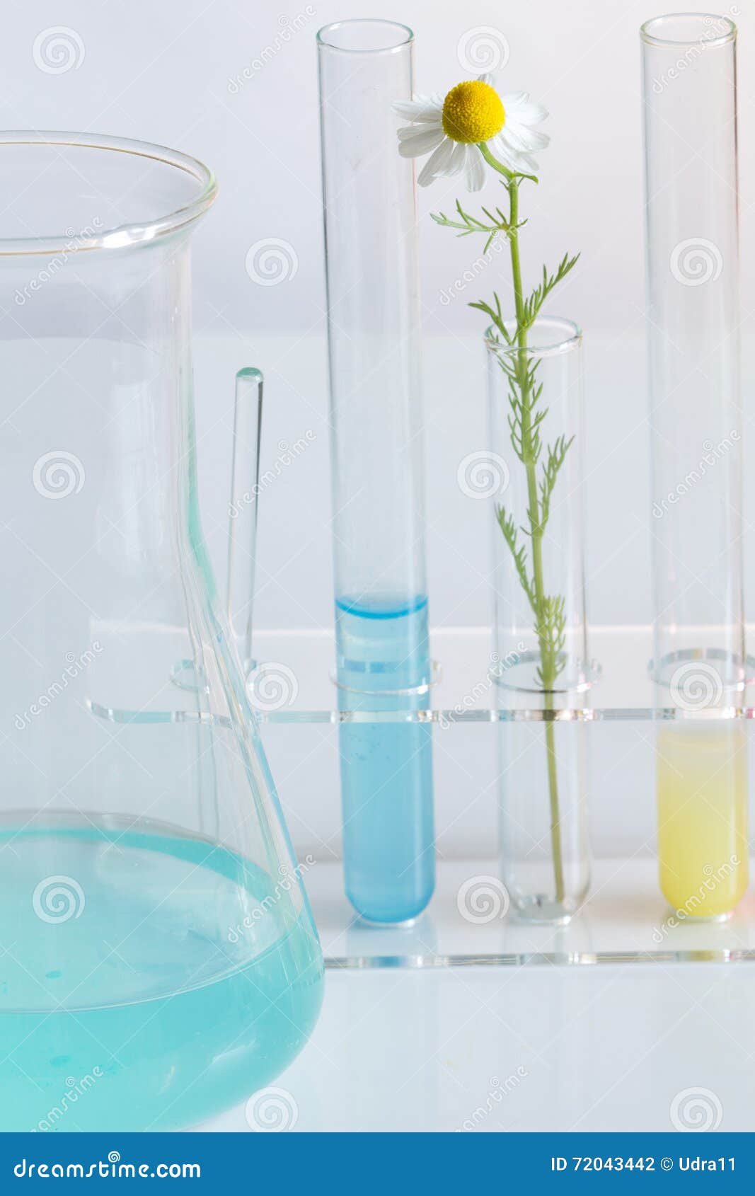 Natural Herbal Healthy Cosmetics in the Lab Stock Photo - Image of ...