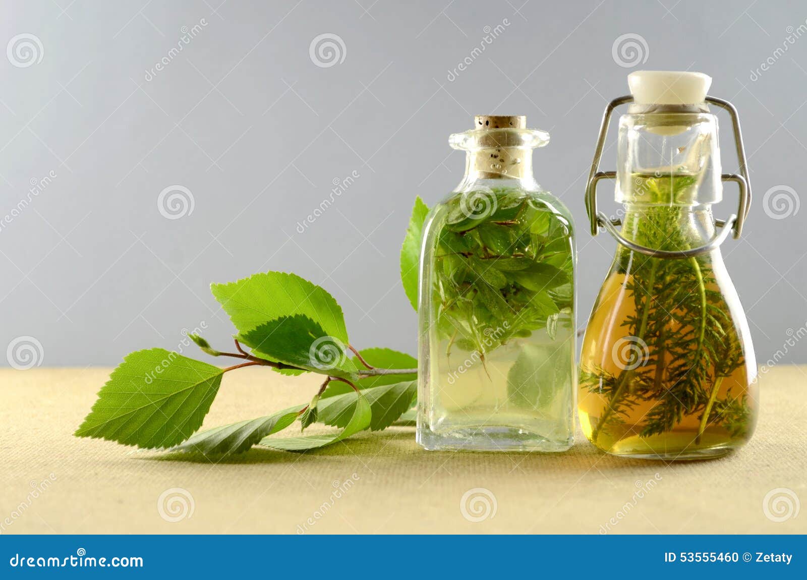 Natural Herbal Tinctures Medicine Stock Photo - Image of homeopathy ...
