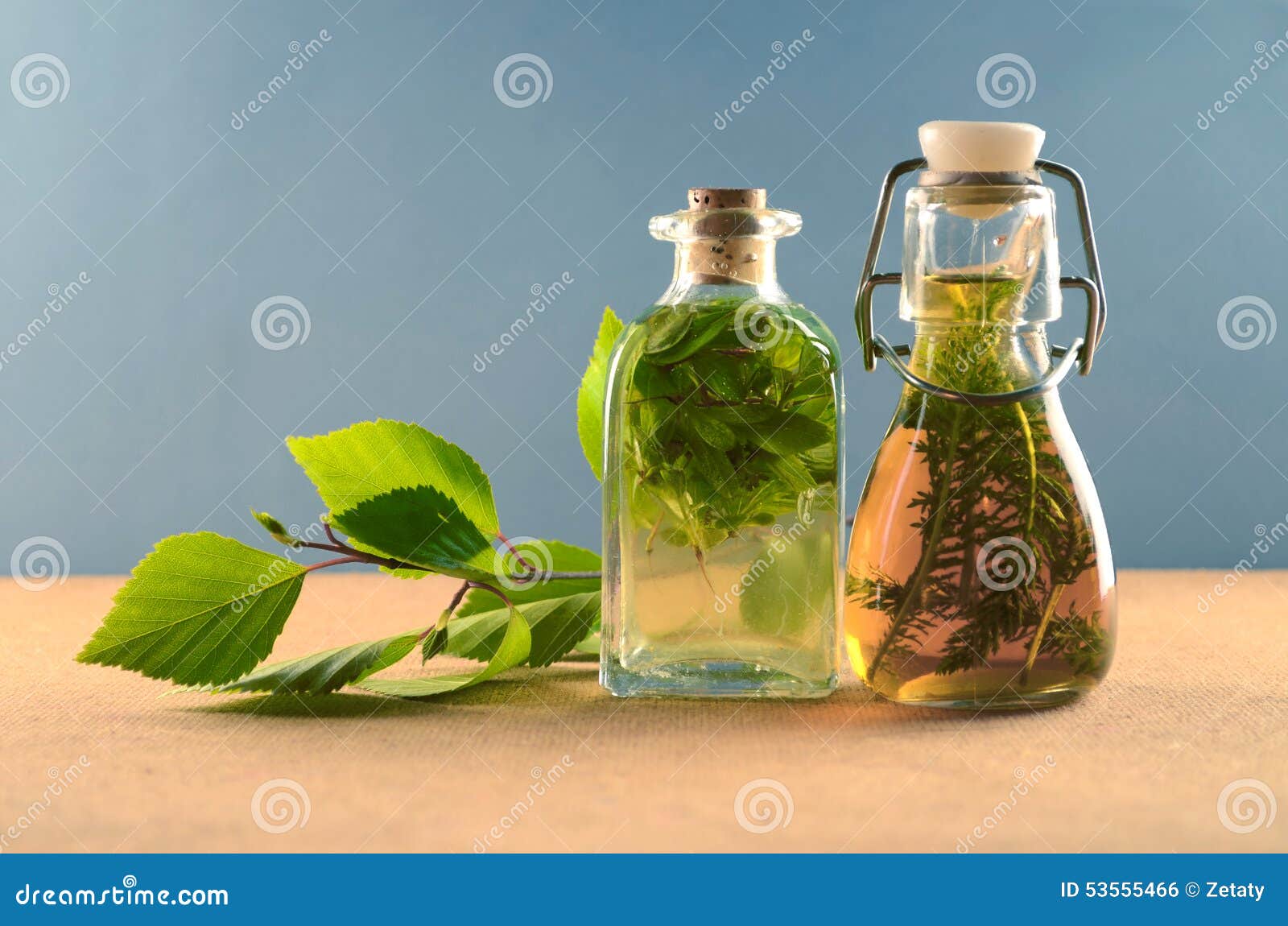 Natural Herbal Tinctures Medicine Stock Photo - Image of healing ...