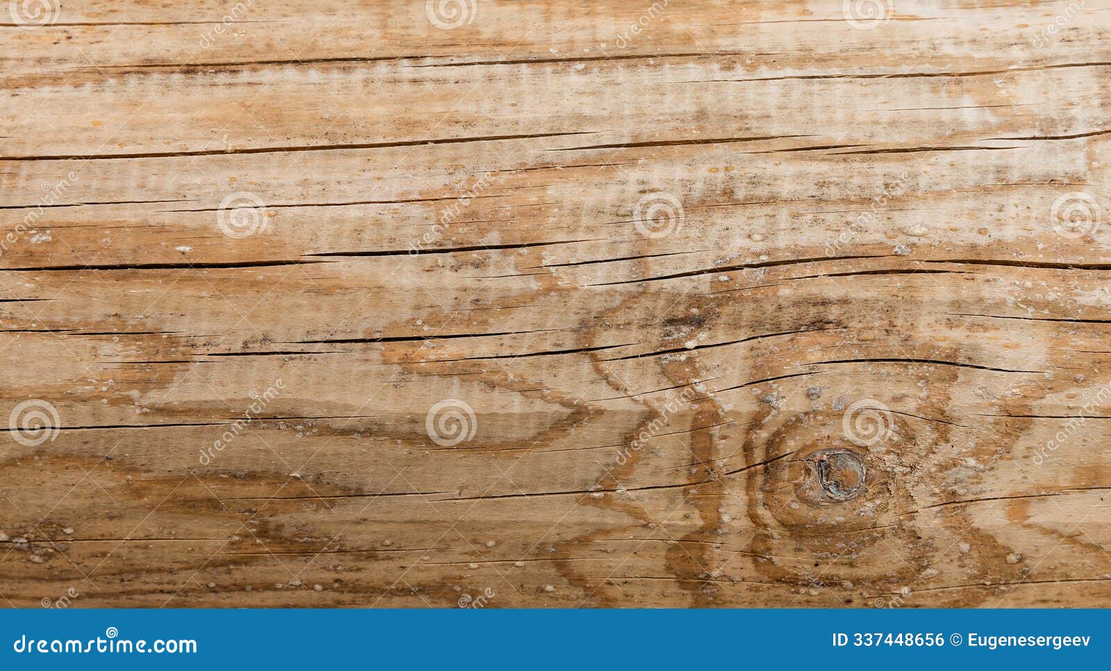 Natural Hewn Pine Log Pattern, Close Up , Background Texture Stock ...