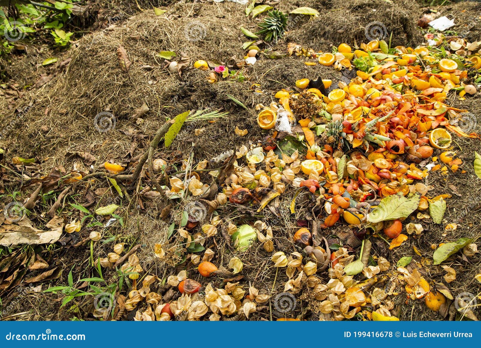 Natural Homemade Compost with Organic Waste Stock Photo - Image of pile ...