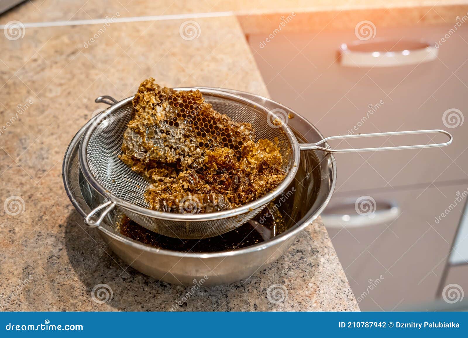 Natural Sieve Rock Closeup In Forest. Texture Of Rock. For Design On ...