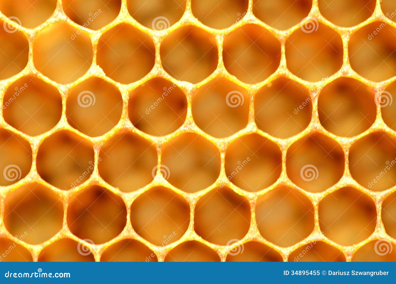 Natural honeycomb stock image. Image of biology, apiary - 34895455