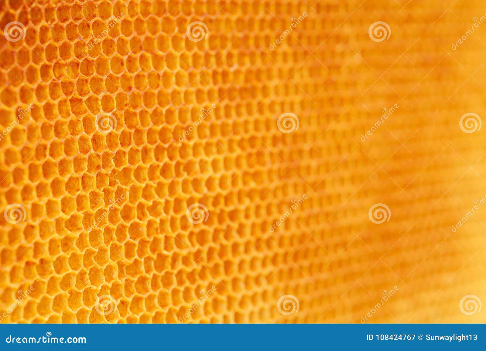 Natural Honeycomb texture stock image. Image of feeding - 108424767