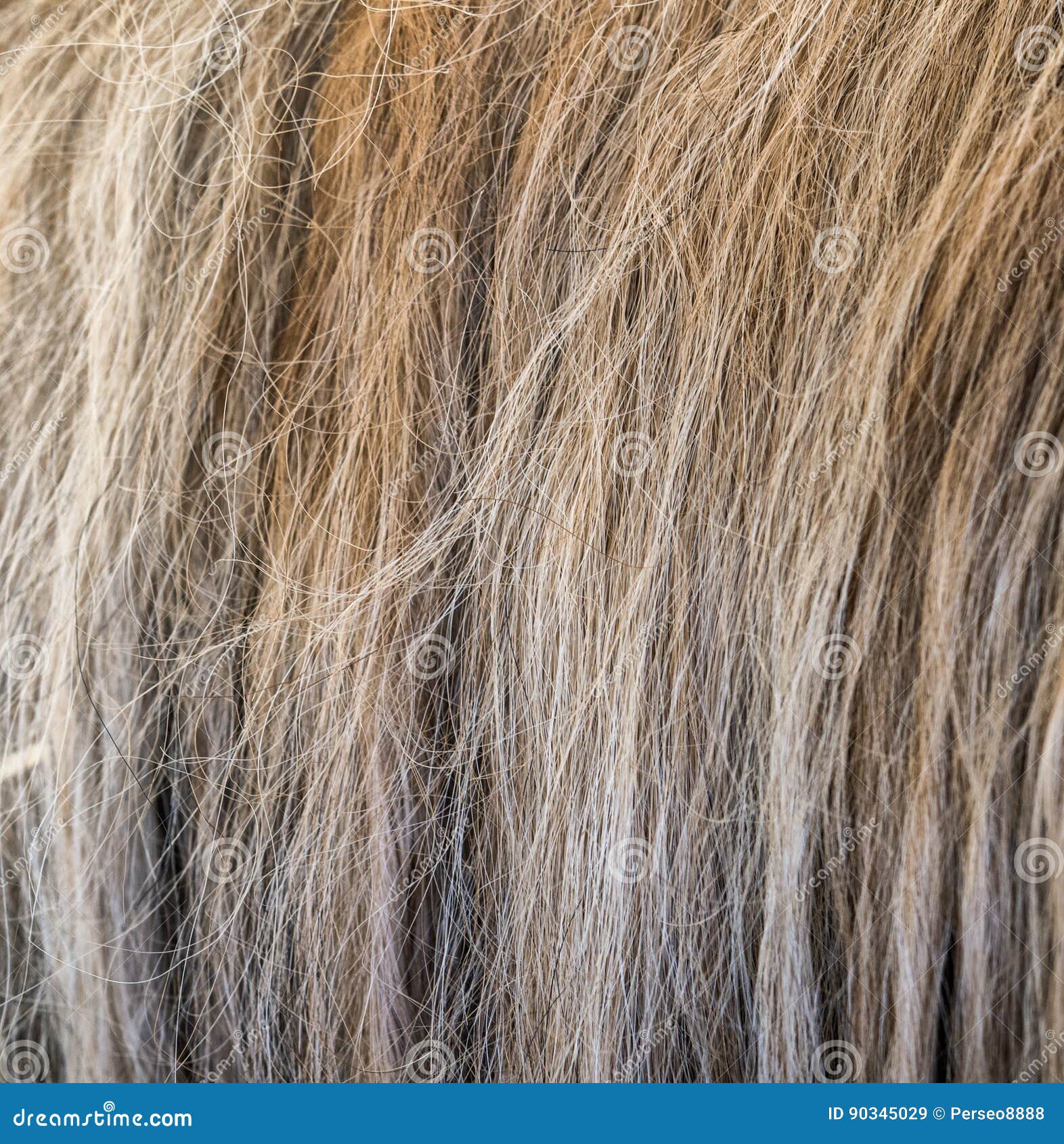 Natural Horse Mane Texture Background. Stock Image - Image of hair ...